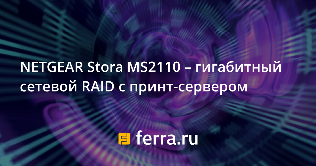 NETGEAR Stora MS2110 – гигабитный сетевой RAID с принт-сервером ...