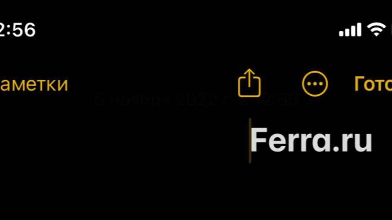 "Конец абсурду скриншотов из блокнота": Маск добавит длинные посты в Twitter: Новости ...