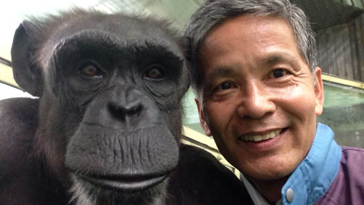 Префронтальная кора и не только: области мозга, которые различаются у человека и обезьян ...